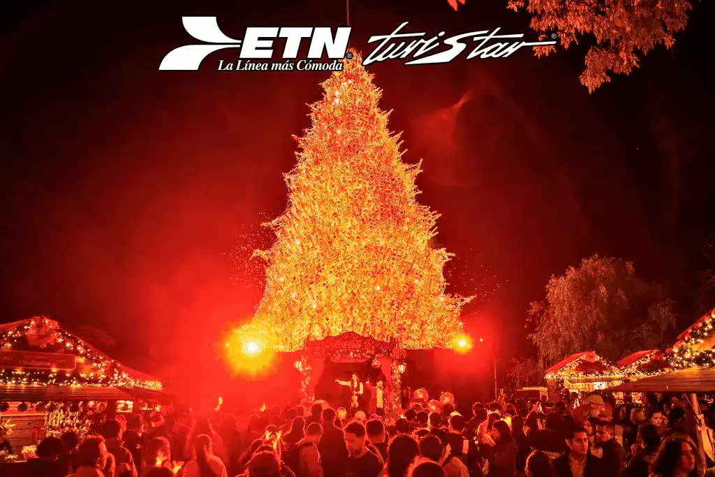 Navidalia 2024: Un Viaje Mágico a la Navidad | ETN Turistar