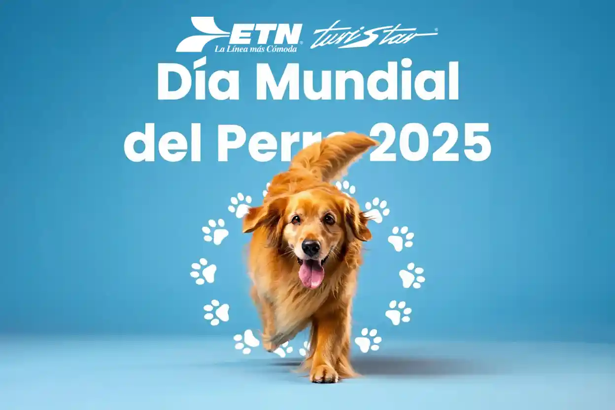 Día Mundial del Perro 2025 | ETN Turistar