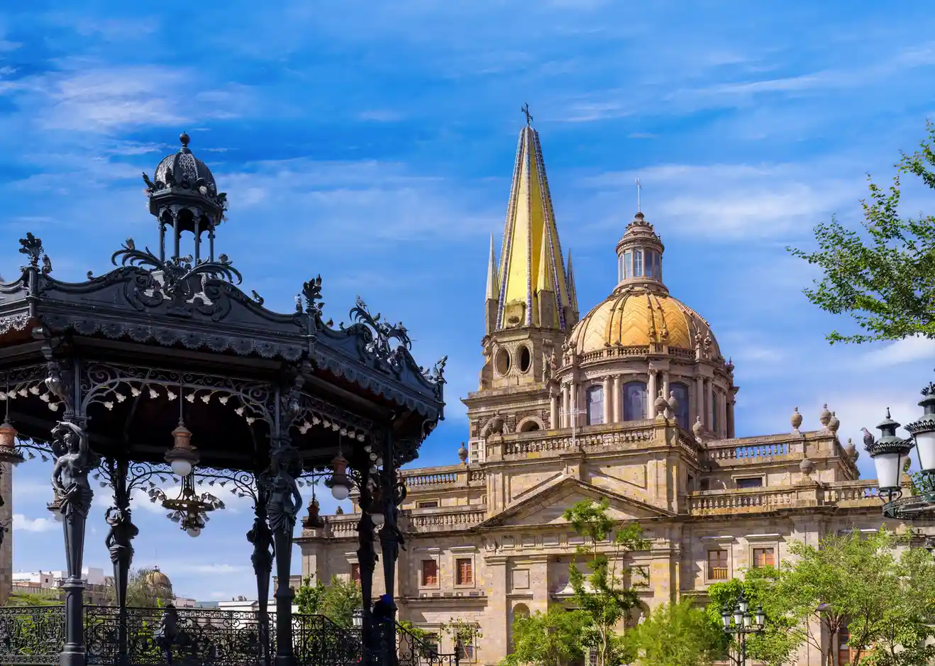 Bus Tickets | Travel in Comfort with ETN Turistar